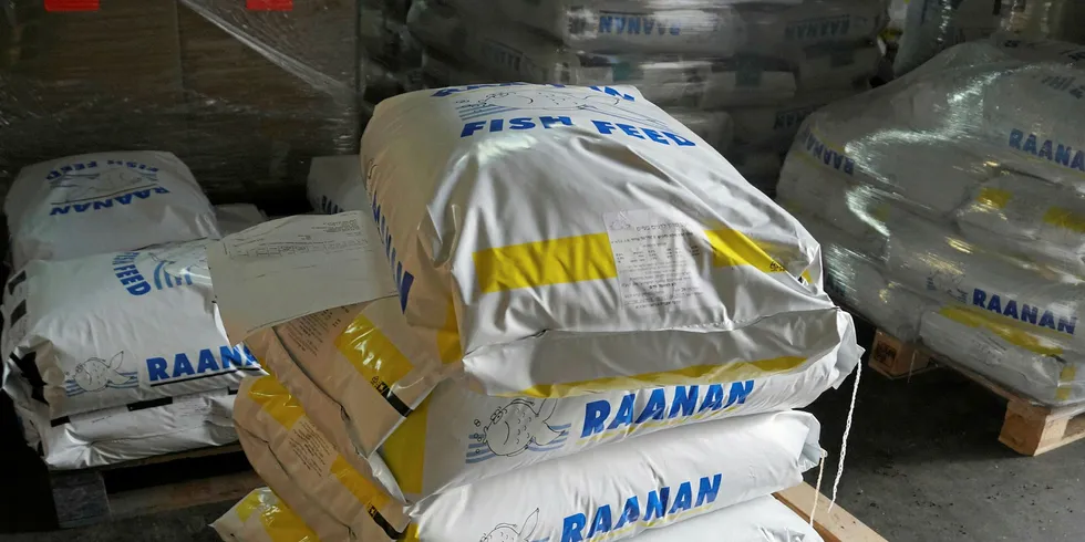 Israeli fish feed company to double production within 5 years | Intrafish