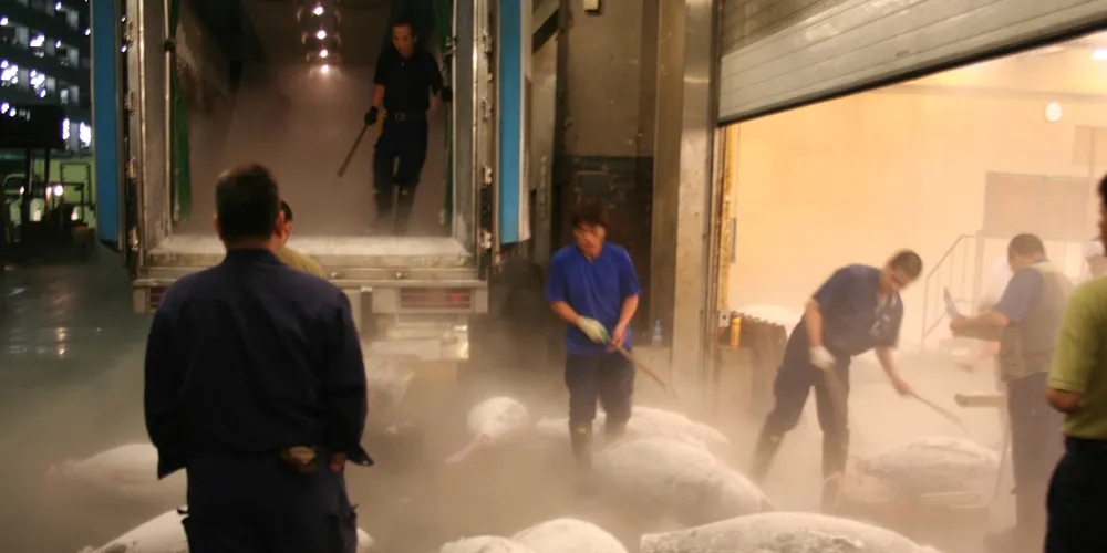 Fisheries minister cautious about relocating Tsukiji market | Intrafish