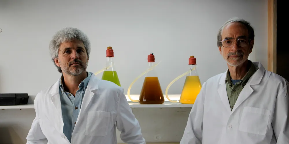 Zooplankton Week Part 4: Reed Mariculture -- The Plankton People ...