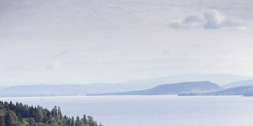Skal forske på lokale sildestammer i nord | Fiskeribladet
