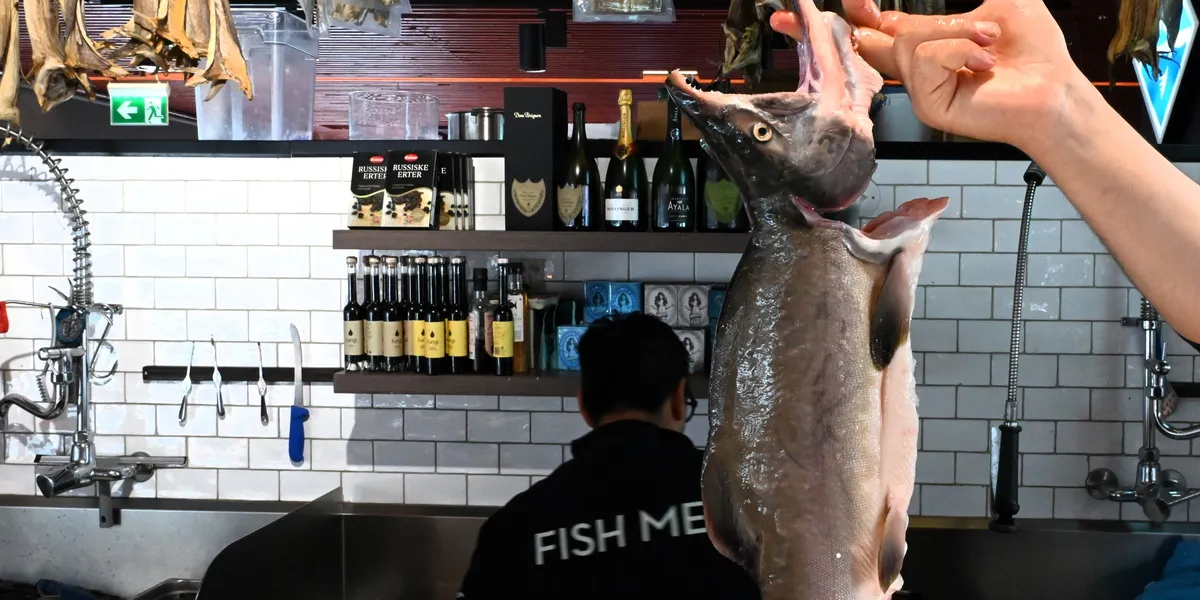 Norwegian salmon farmer turning invasive Pacific salmon into profitable ...