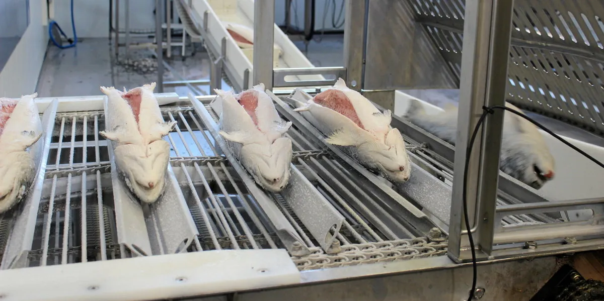 Fryst laks holder prisene stabile