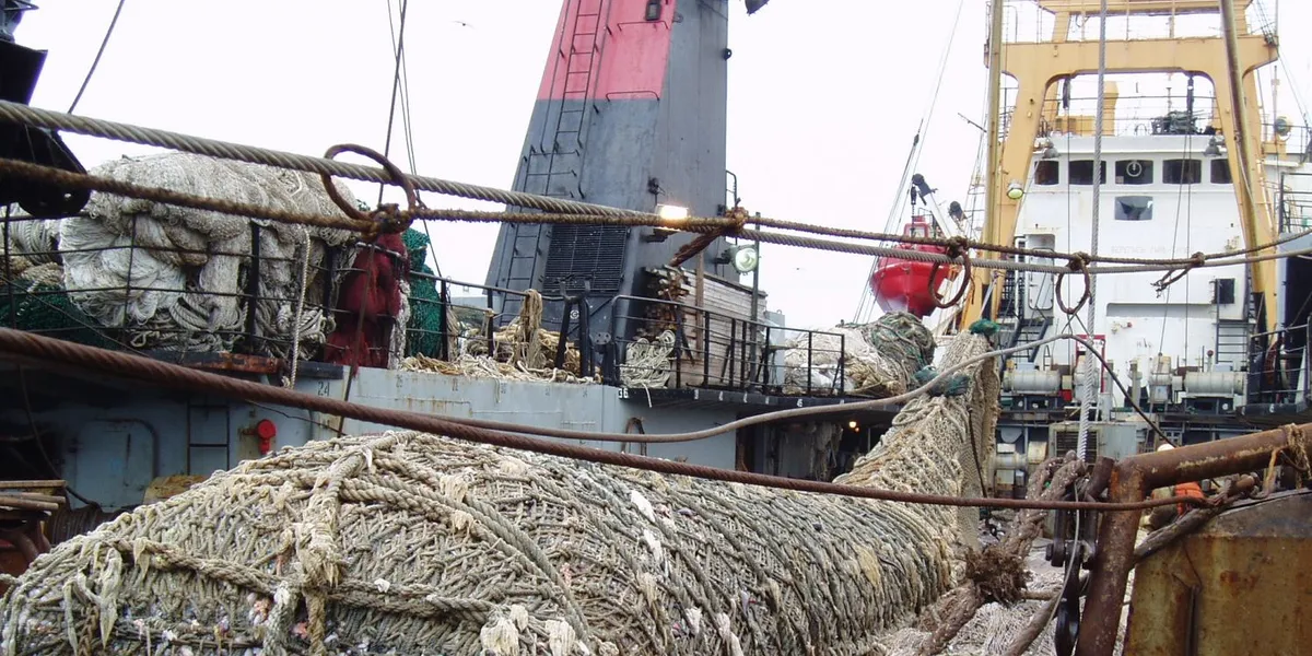 Russian pollock 'A' season sees huge jump in fillet production | Intrafish