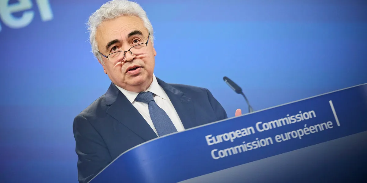 Renewables meet most growth as global energy demand surges in 2024: IEA ...