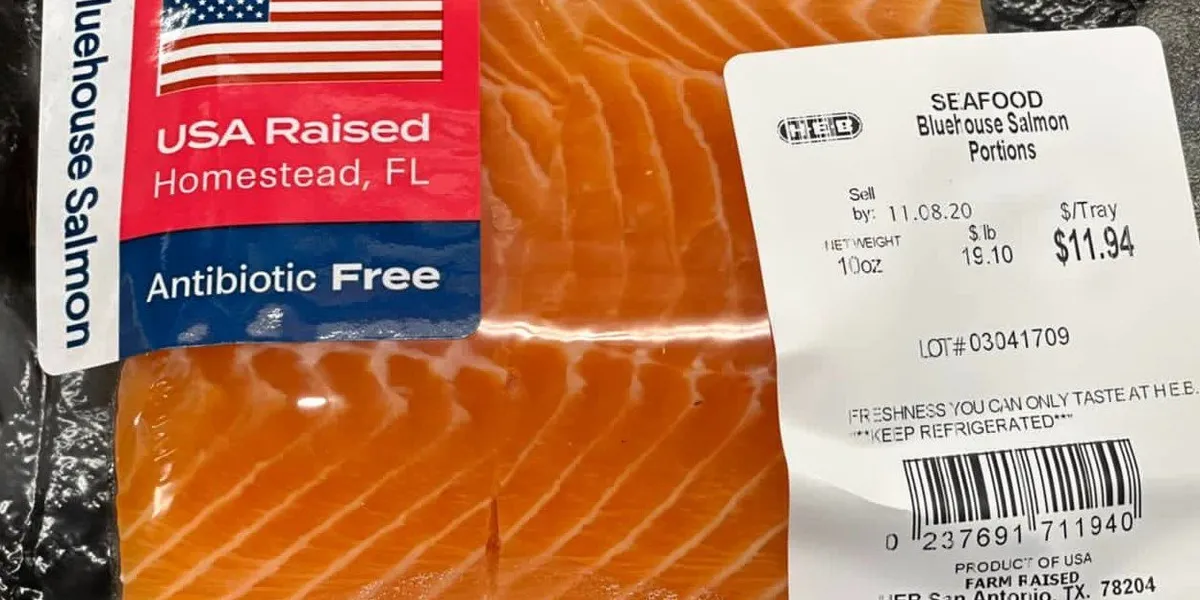 Too soon for a land-based salmon price premium? | Intrafish