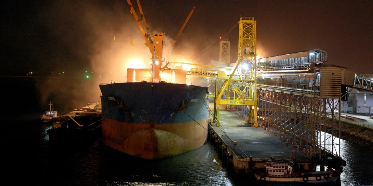 Jadroplov orders biggest bulk carriers yet as it puts veterans on sales ...