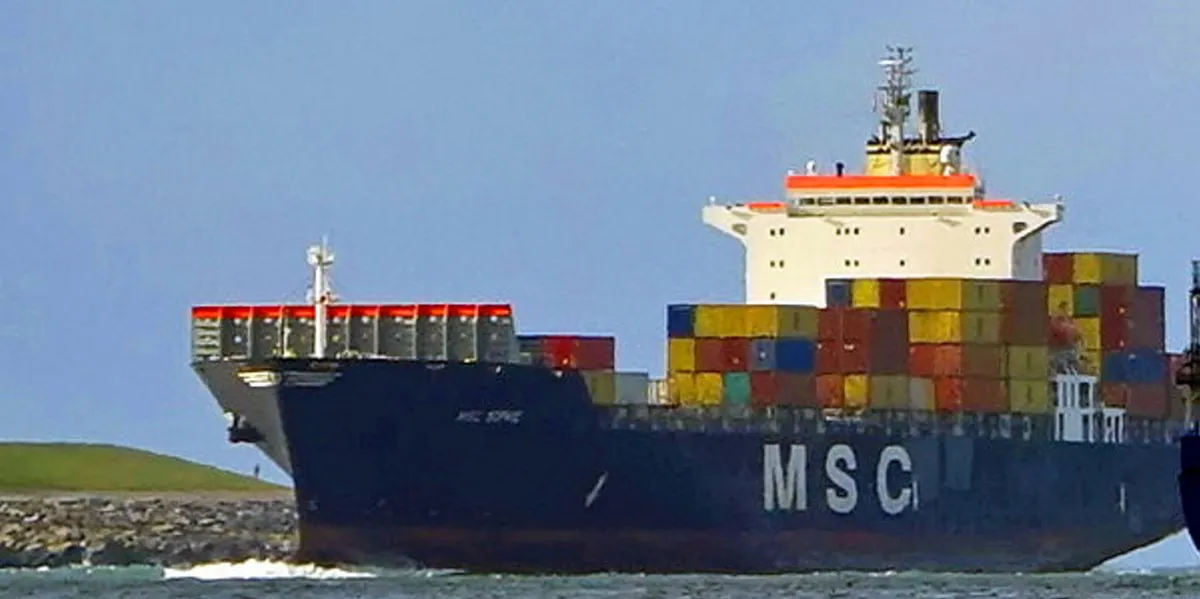 MSC snaps up three container ships as it extends buying spree