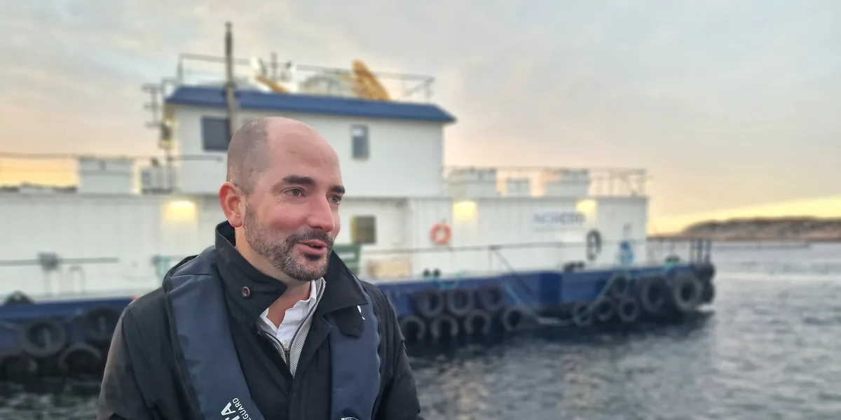 Cod farmer expands with new location | Intrafish