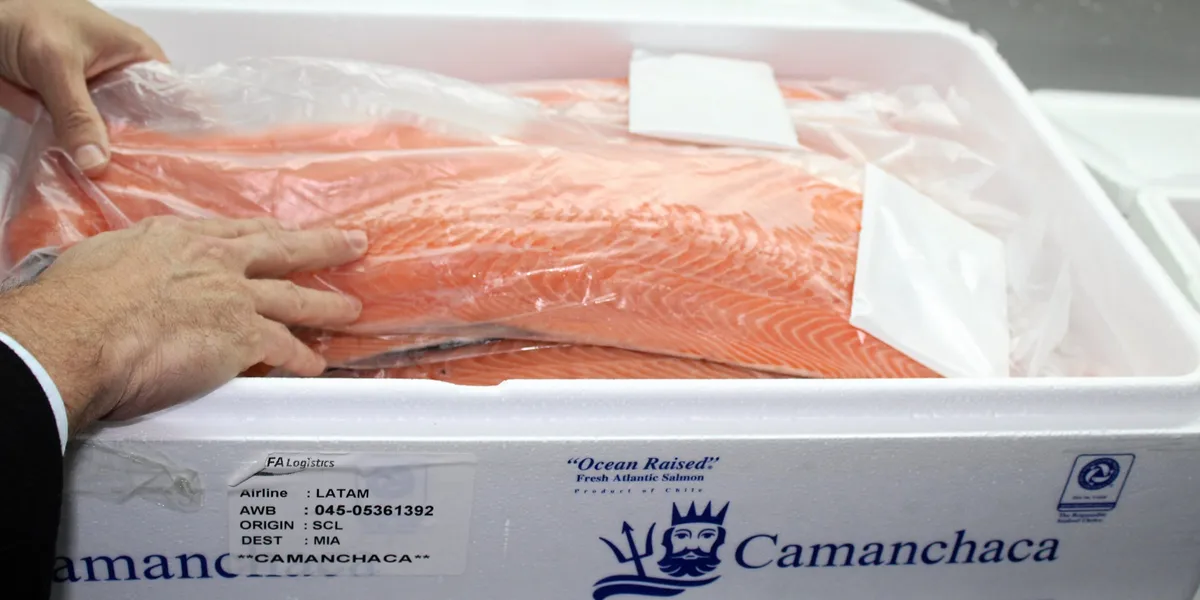 US and Brazil keep Chile’s salmon exports afloat | Intrafish