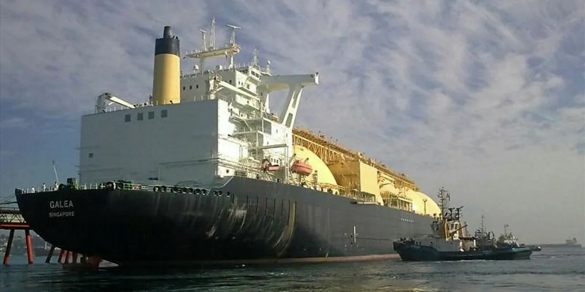 Cyprus selects team to oversee build of first FSRU project