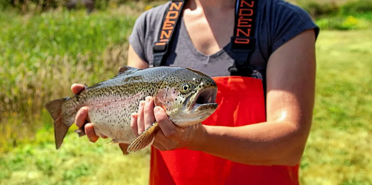 Riverence acquires Clear Springs, creating America's largest trout ...