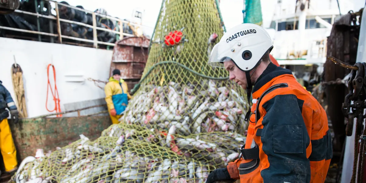 Russian scientists propose 17 percent increase in 2026 Barents Sea cod ...
