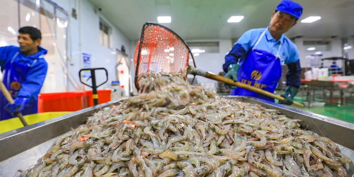 The perfect storm that drove shrimp prices to a 10-year low during ...