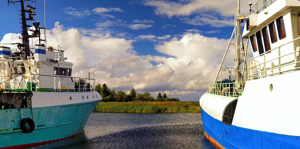 EU fisheries ministers ignore advice to stop fishing cod in Baltic sea ...