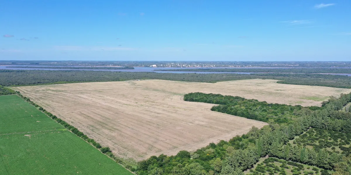 HIF Global redesigns controversial gigawatt-scale green hydrogen ...