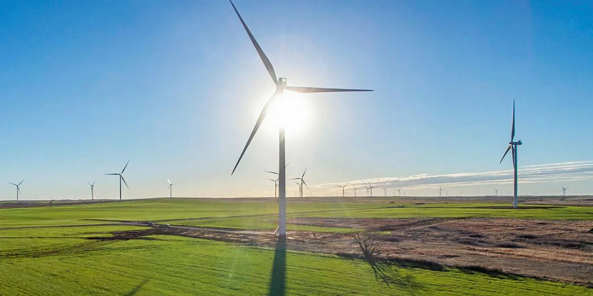 US wind boom set to extend into 2021: Tradewind CEO | Recharge