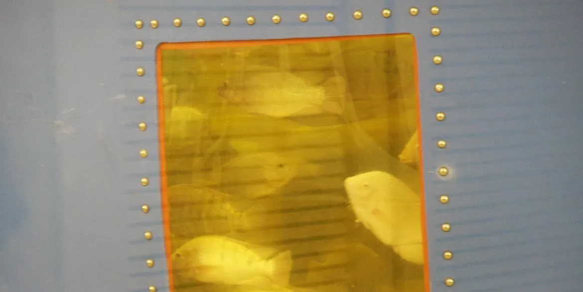 Alltech: Putting its money where its mouth is | Intrafish