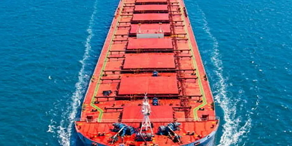 Global bulker fleet slowing down to meet carbon rules, says Veson