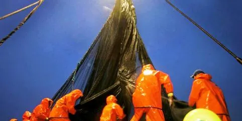 Den lille viktige fisken