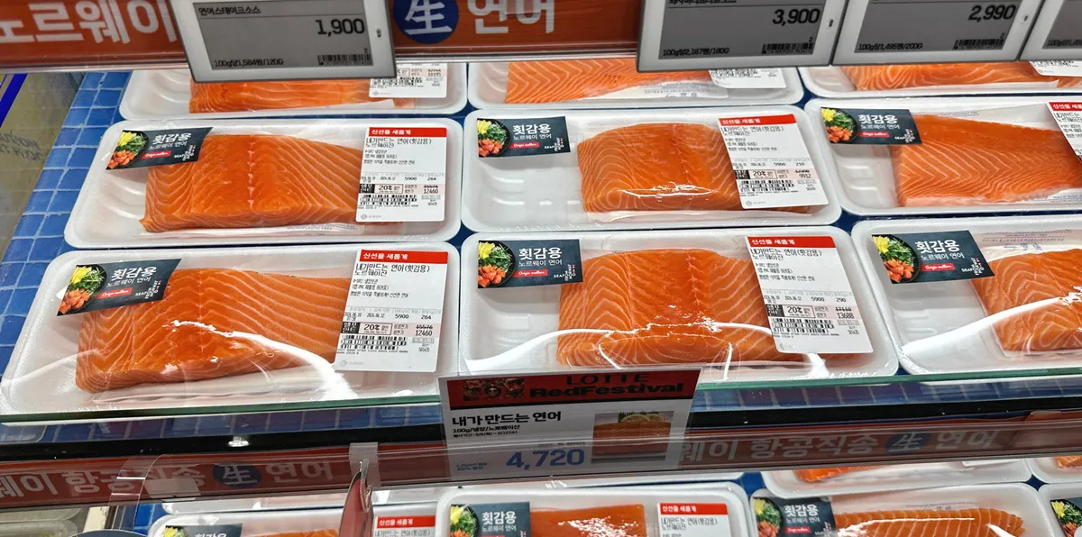 Norwegian salmon prices on the rise | Intrafish