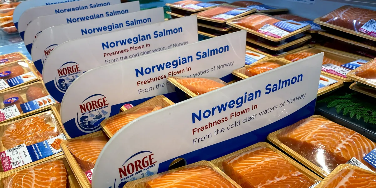 Norwegian farmed salmon exports face scrutiny after sea lice found in ...
