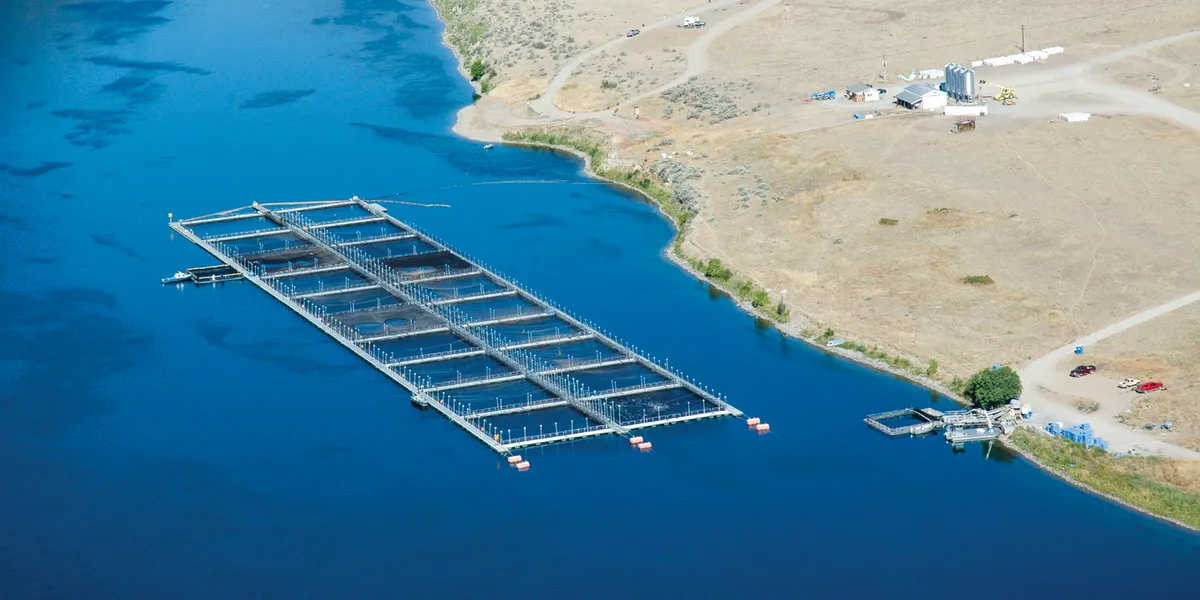 Battle over US aquaculture continues with Pacific Seafood lawsuit Legal ...