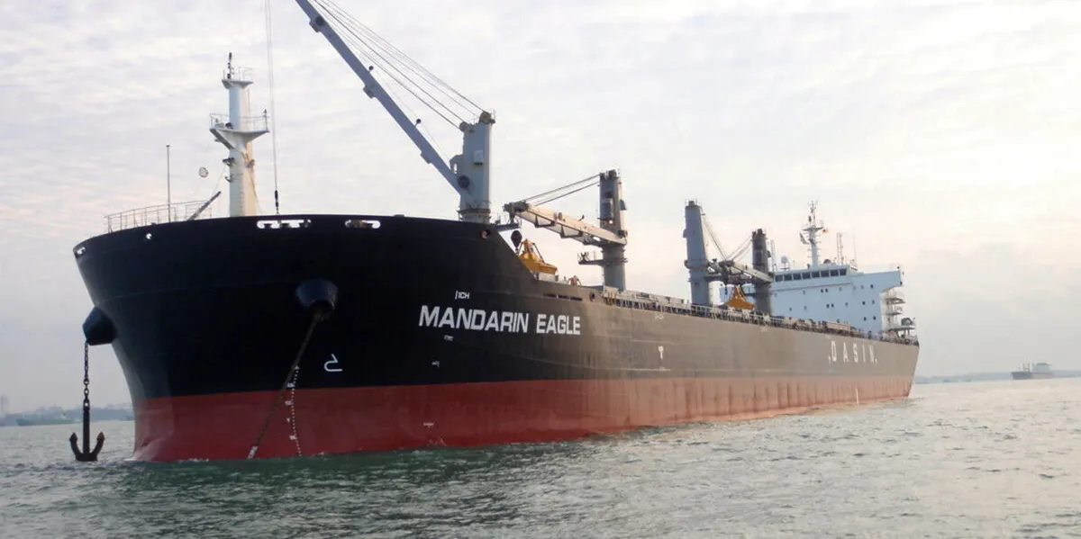 Dasin Shipping rejects report of seven-ship supramax bulker sale