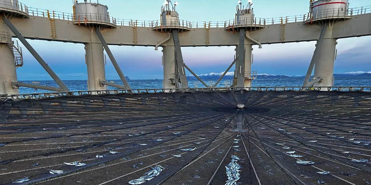 Fiskeridirektoratet med flere pålegg til Salmar Ocean etter ...