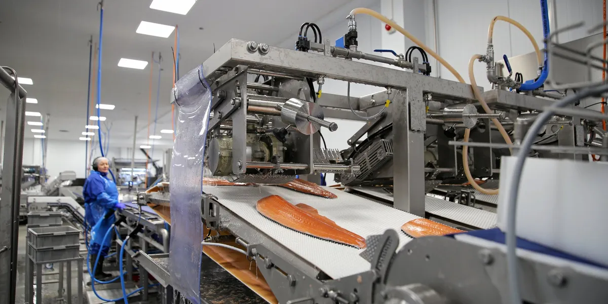 'No panic' on Trump tariffs as Norwegian salmon prices remain stable ...