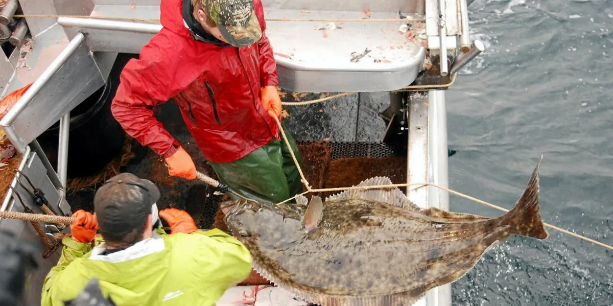 Alaska fishing fleet lost $14 million because of new bycatch measure ...