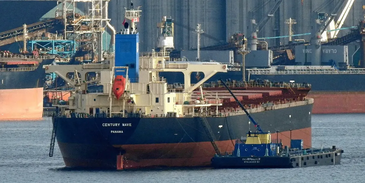 Dongguan Haichang expands fleet with sixth bulker buy of this year