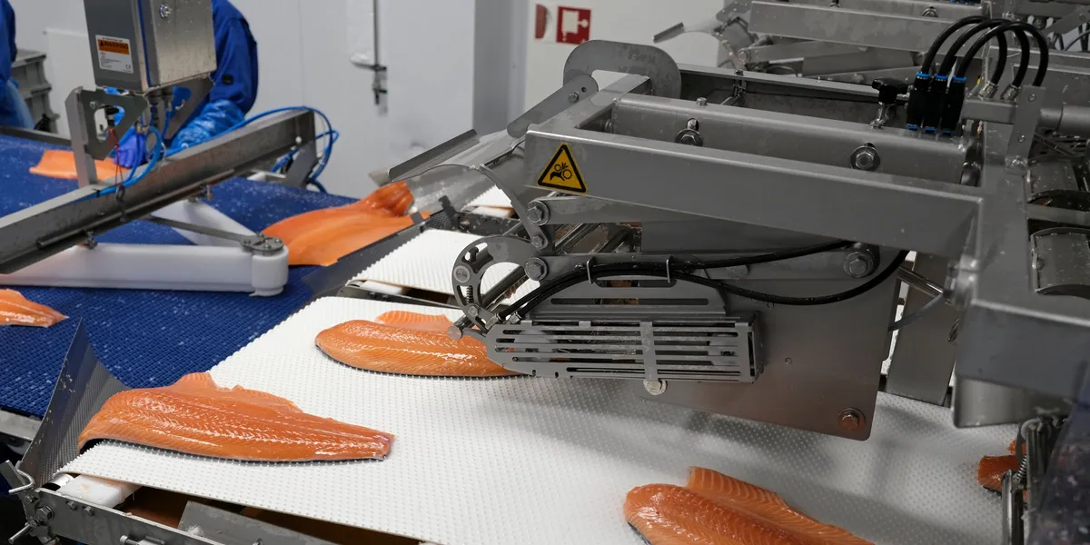 Prices for larger salmon are increasing, although some Norwegian ...