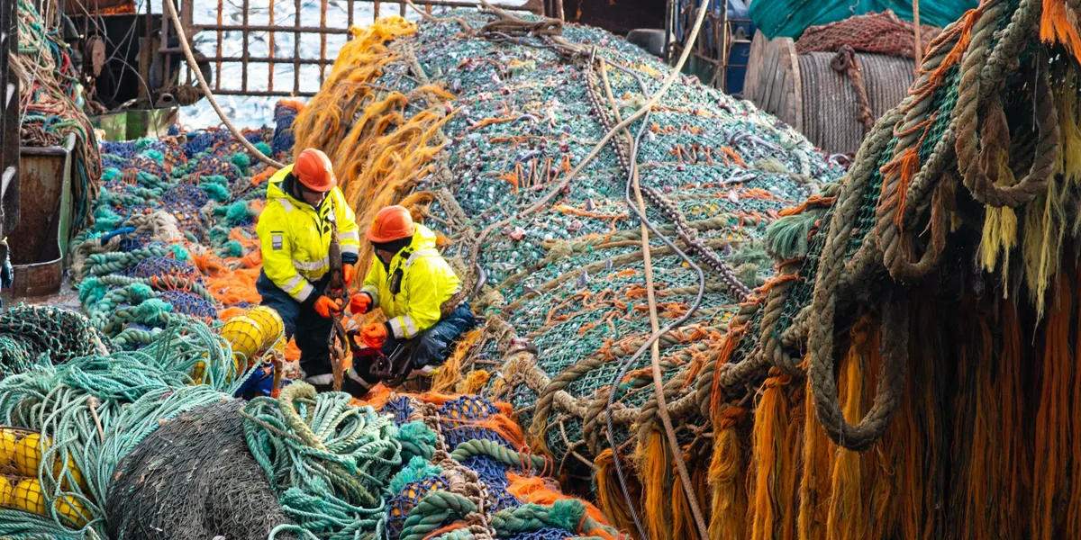 Russia sets key pollock quota for 2026 | Intrafish