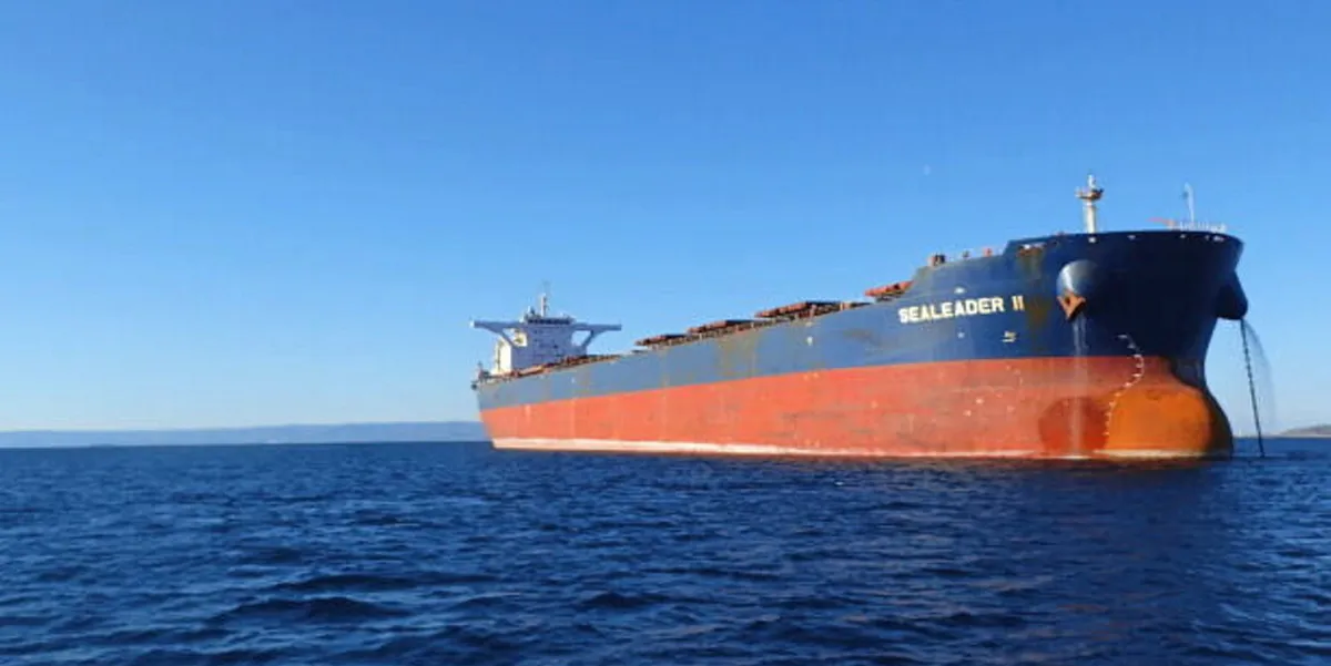 Thenamaris banks big gain on capesize bought in and flipped to China