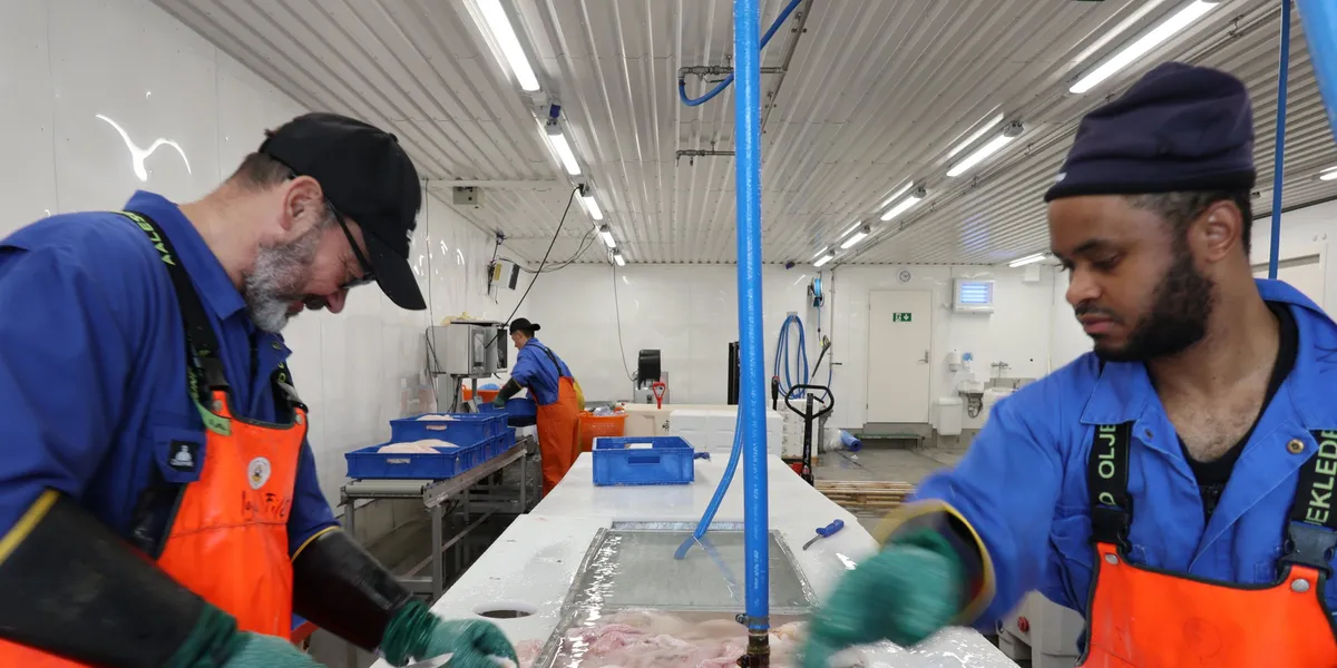 Controversial proposals could boost Norwegian seafood processing ...