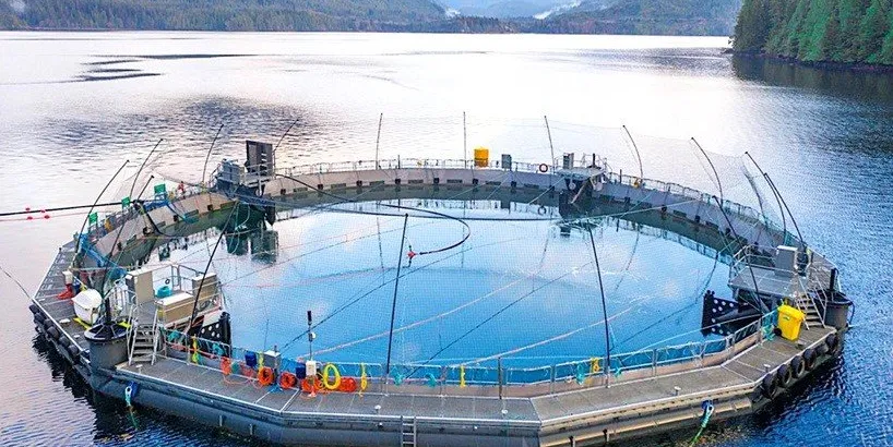 Cermaq's bold move is a good one for Canada's salmon farming landscape ...