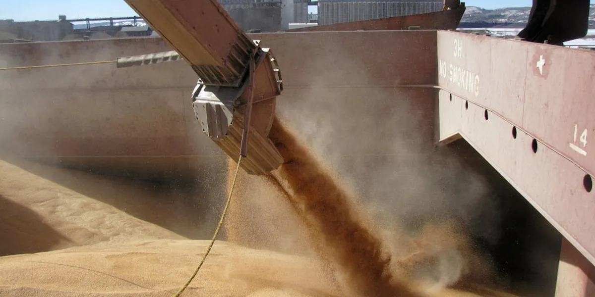 Egypt turns away sanctioned Russian bulker carrying grain from Crimea