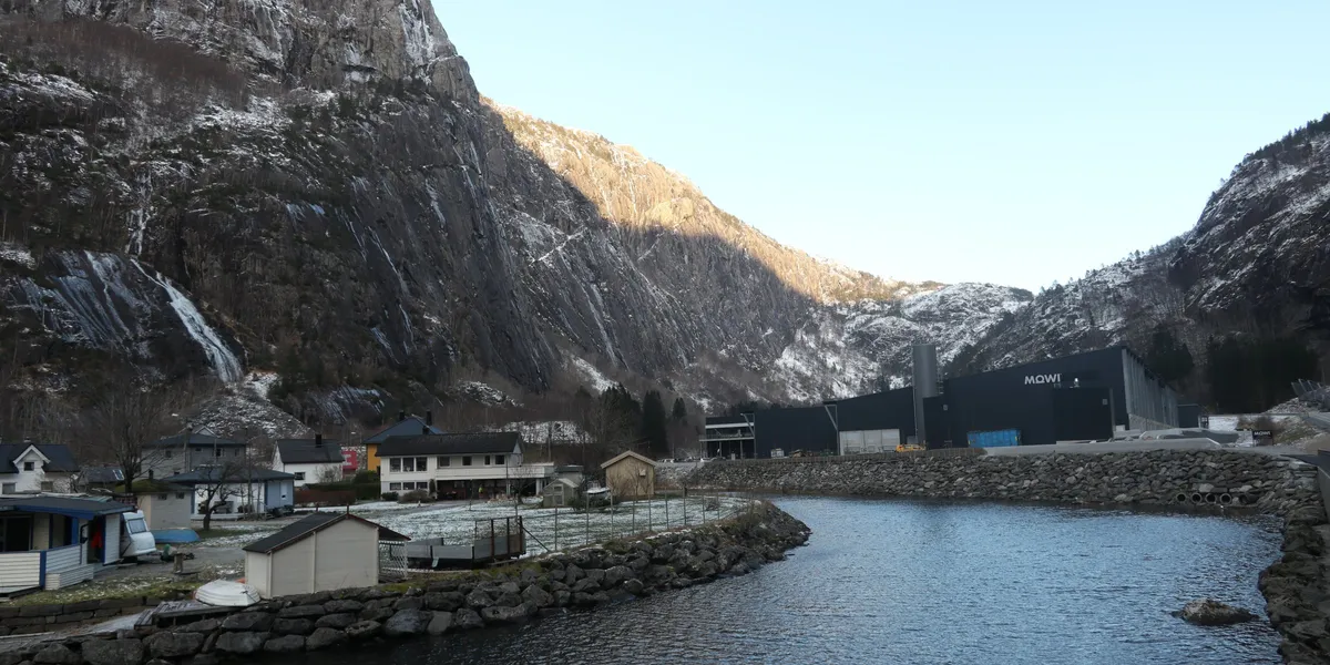 Mowi confirms sludge discharge at post smolt facility 'will not breach ...