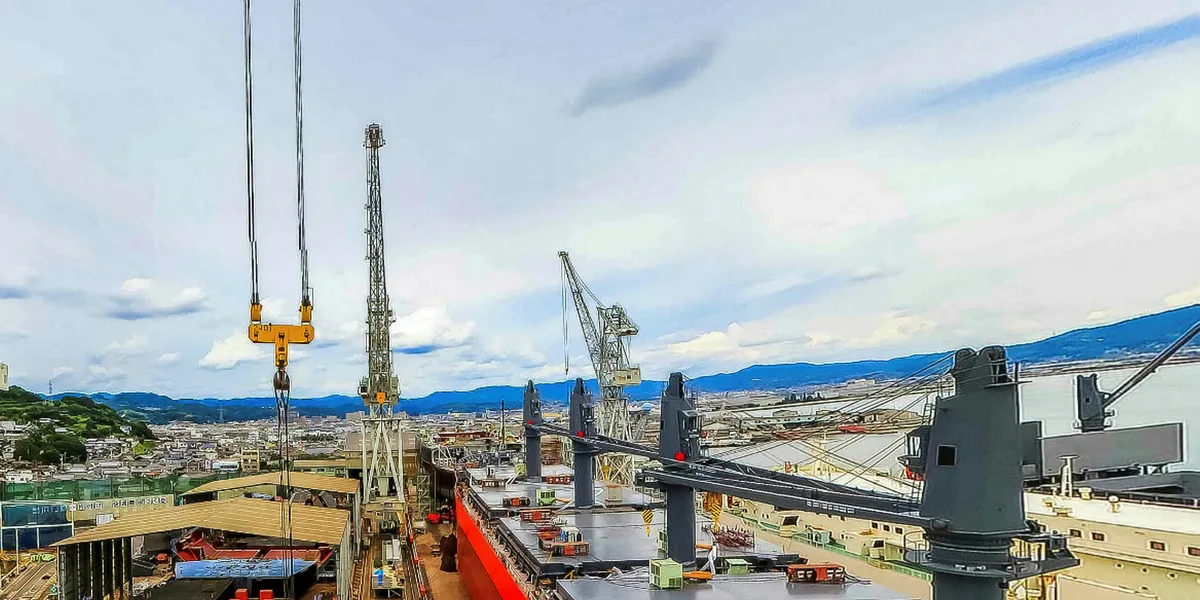 Are mono-fuel vessels really the answer?