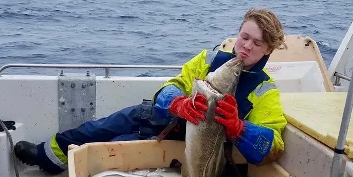 Cod has finally claimed the crown, outpacing both salmon and oil ...