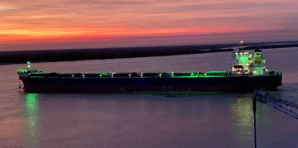 Panamax bulkers gain on China's love of grain, brokers say