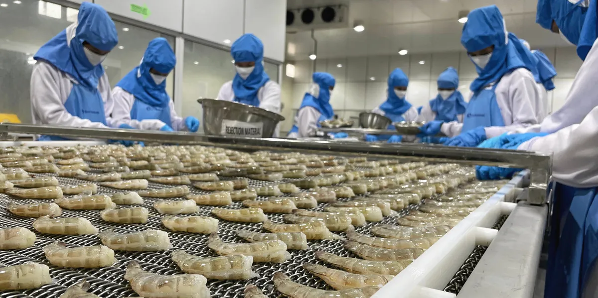 Go inside Devi Seafoods' new shrimp processing factory | Intrafish