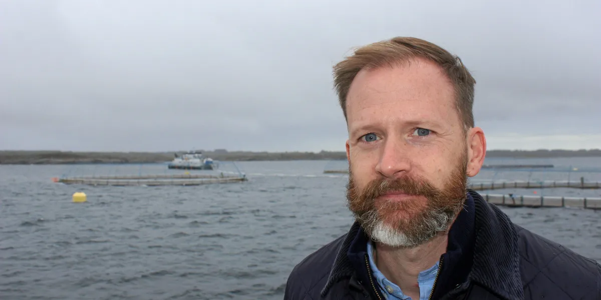 Mowi reports major smolt escape from Norwegian hatchery | Intrafish