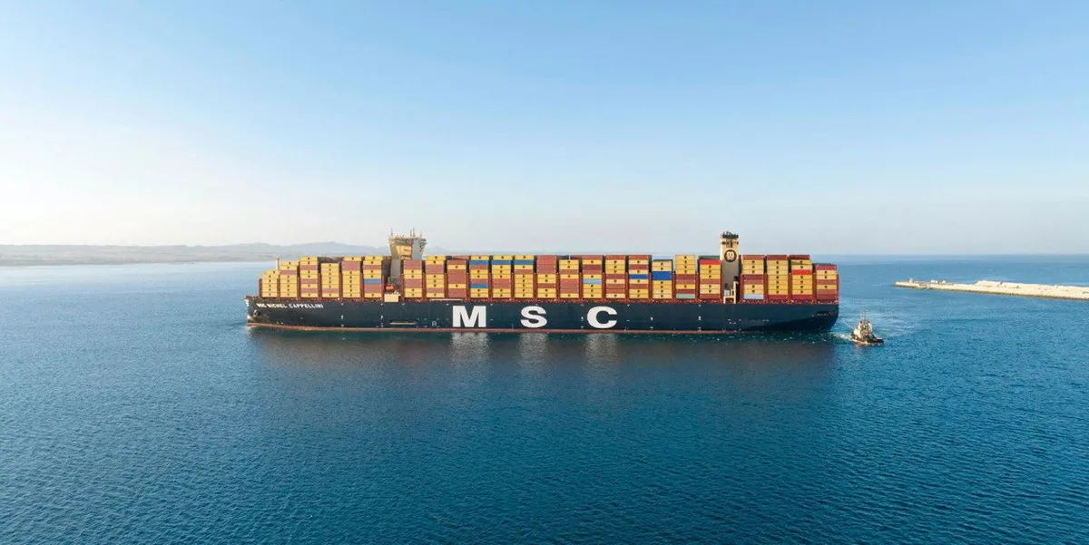 Stowaways found perched on MSC container ship’s rudder after six-day ...