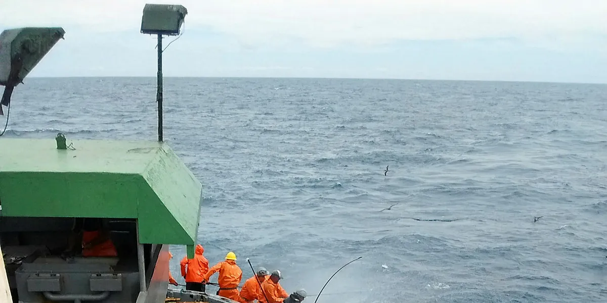 First Atlantic skipjack fishery undergoes MSC assessment | Intrafish