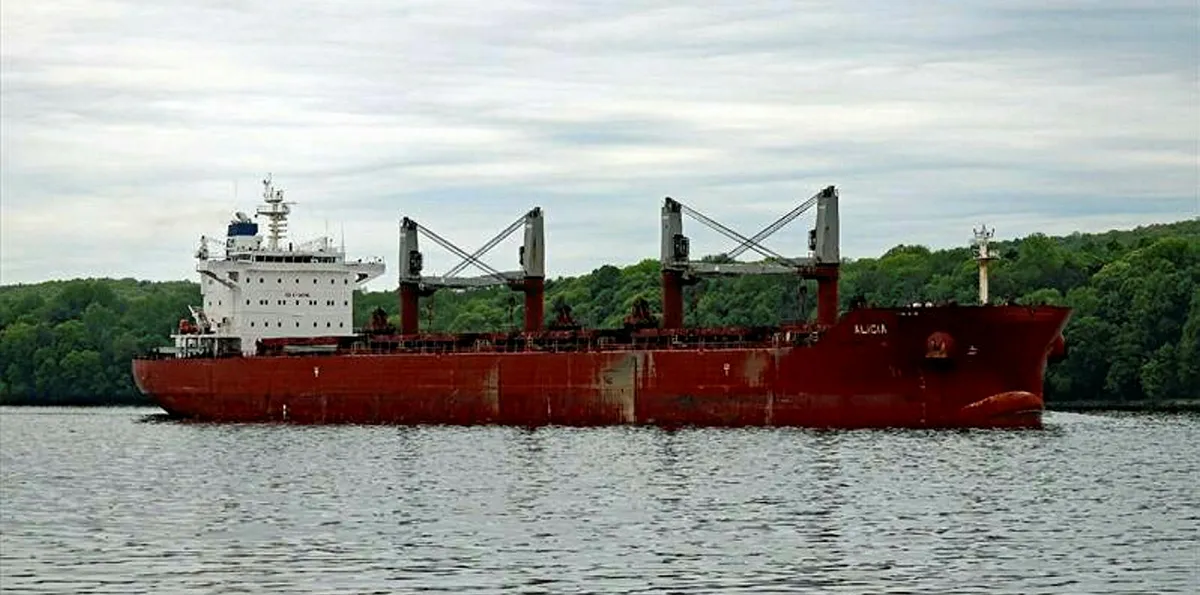 Ocean Agencies orders ultramax bulker newbuildings at New Dayang ...