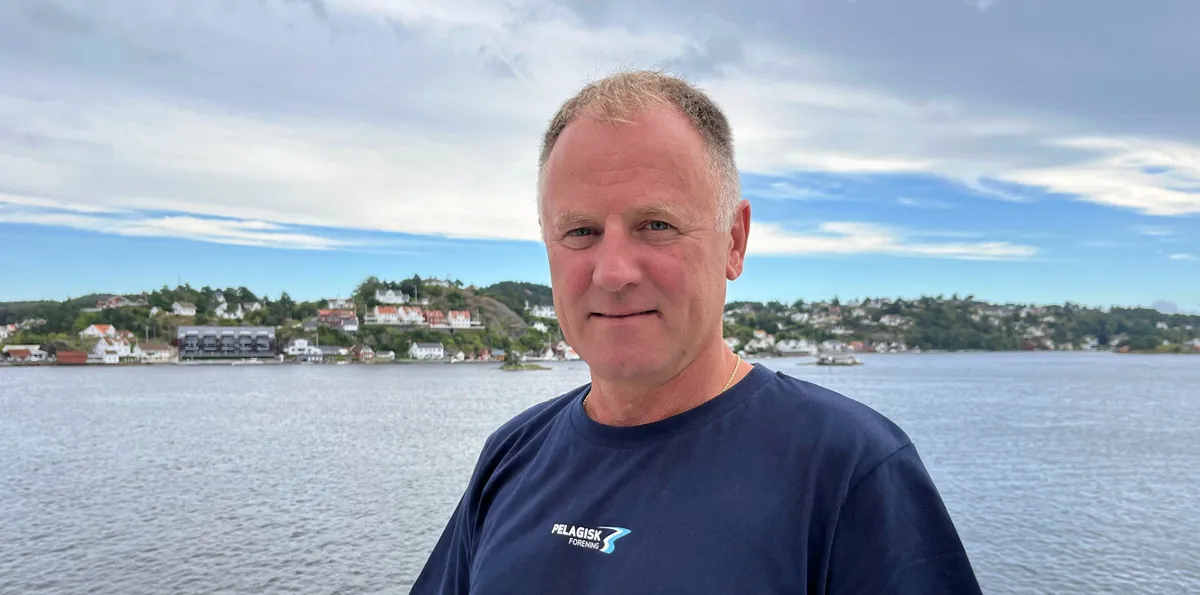 Frykter flere hval kan gi lavere sildekvote | Fiskeribladet