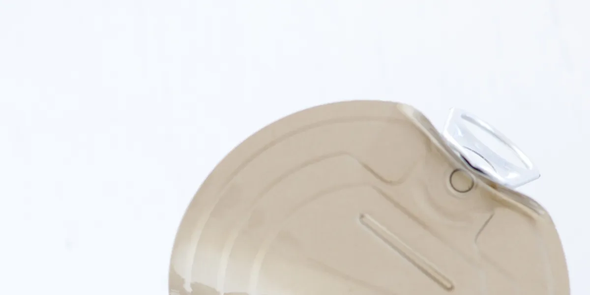 Bolton Group buys Spanish firm Conservas Garavilla | Intrafish