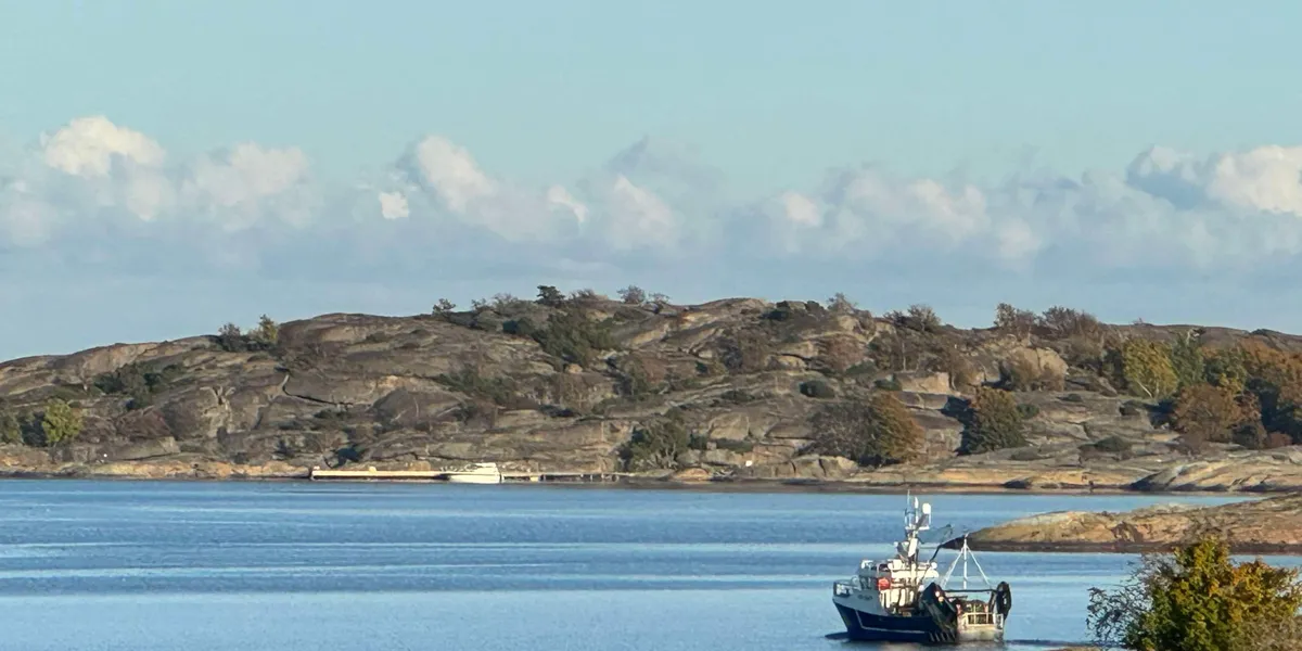 Ofrer fiskerne for å redde fjorden – uten å redde fjorden | Fiskeribladet